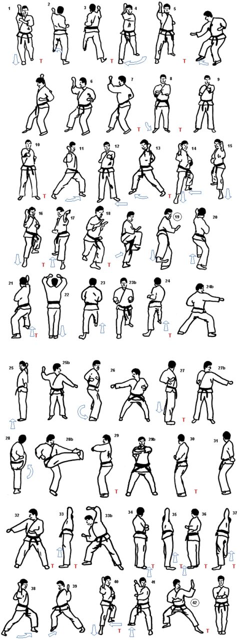 Karaté : Techniques, Bases, Katas et Lexique | Tenchi Do