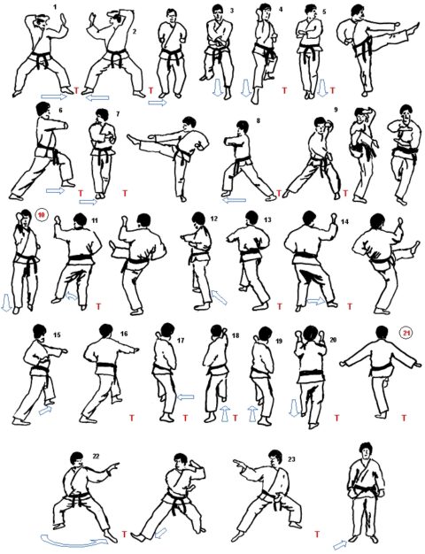 Karaté : Techniques, Bases, Katas et Lexique | Tenchi Do